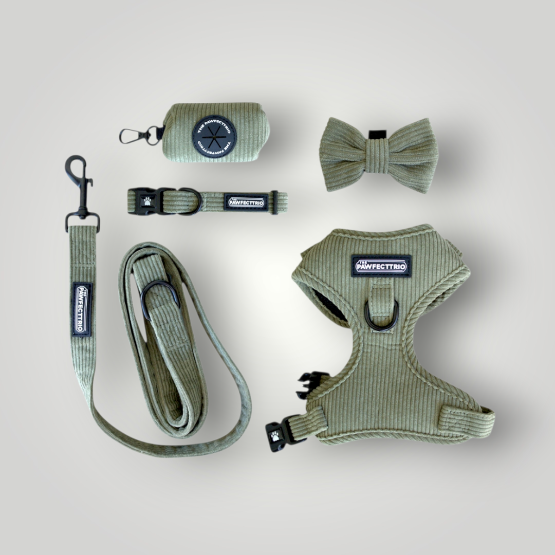 Dapper Dog Bundle - Corduroy Collar, Harness & Leash Set – The Pawfect Trio